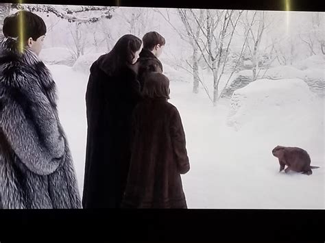 Who Plays The Beavers In Narnia