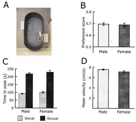 Sex Differences In Sexual Motivation In Humans And Other Mammals The