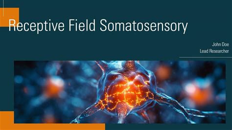 Receptive Field Somatosensory Ppt Powerpoint Acp Ppt Template
