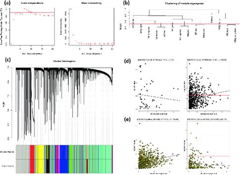Plots Of The Traditional Wgcna Steps And Hub Gene Correlations A
