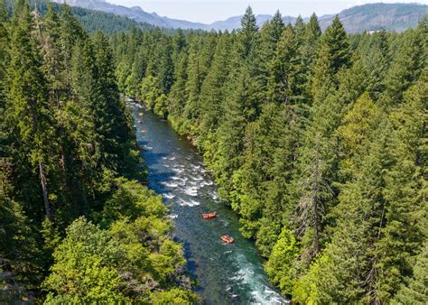 Mckenzie River Rafting Trips High Country Expeditions