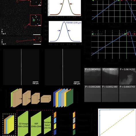 Microscope Quantification And Dl Network Assessment A Maximum
