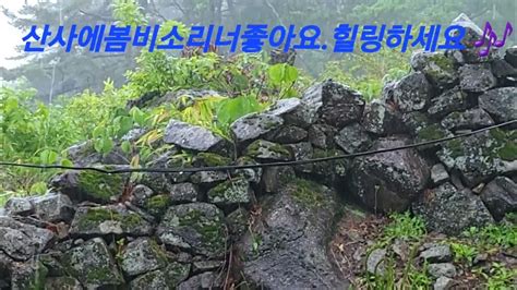 산사에서 행사마치고서 듣는봄비소리🎶 Youtube