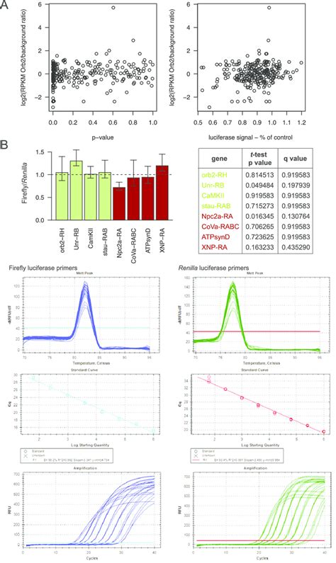 Fig S6 Expression Levels Of The Clip Targets In S2 Cell Line Are Not
