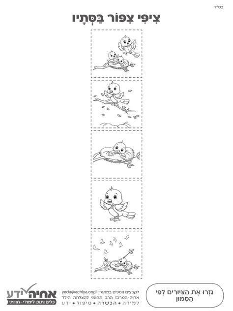 ציפי הציפור הנודדת Pdf