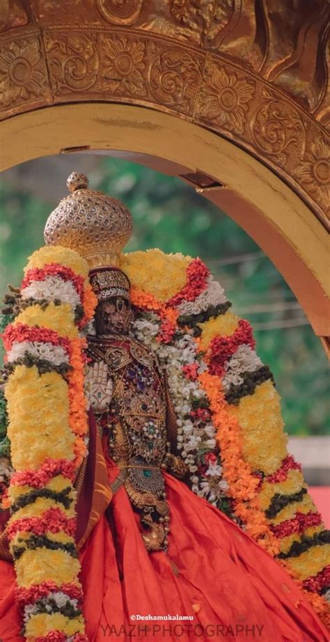 Varadaraj Ratha Saptami 2021 Indian Gods Hindu Krishna