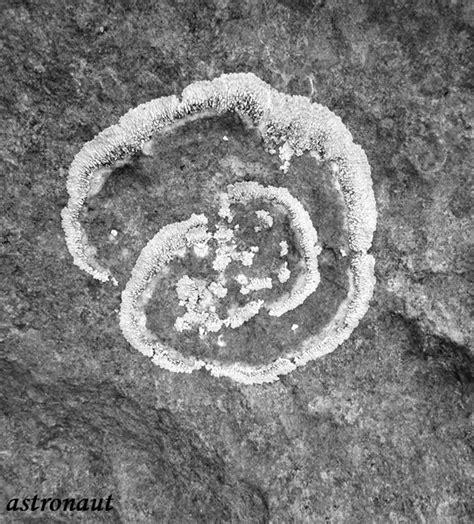 Ivan Ergić Prognoza Nevremena Astronautba