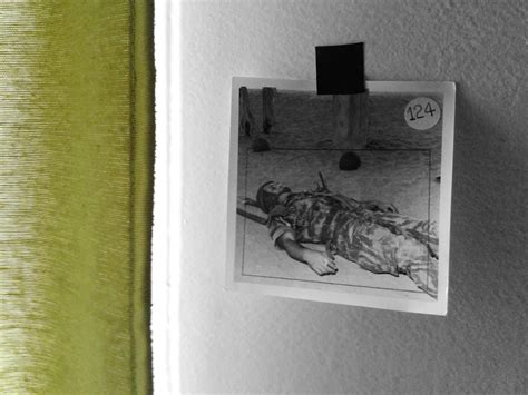 Sara Hamadeh Hamade Sara Twitter