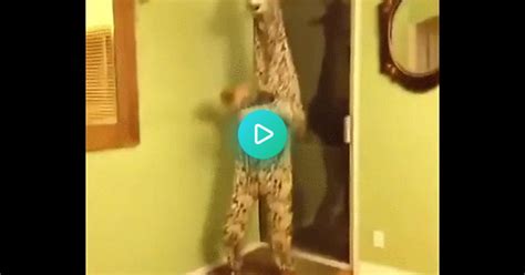 Mrw My Last Post Doesnt End At Negative Points  On Imgur