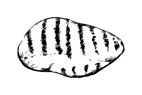 Premium Vector Vector Grilled Bbq Meat Chicken Breast Handdrawn