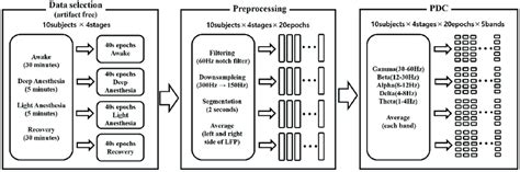 Block Diagram For Calculating The Partial Directed Coherence Pdc