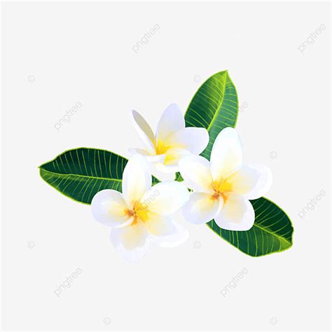 Temple Flower Png Clipart Temple Flower Png Clipart