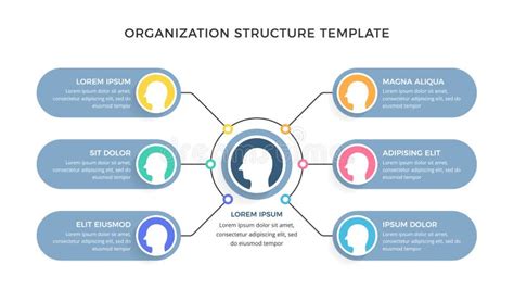 Organization Structure Template Stock Vector Illustration Of