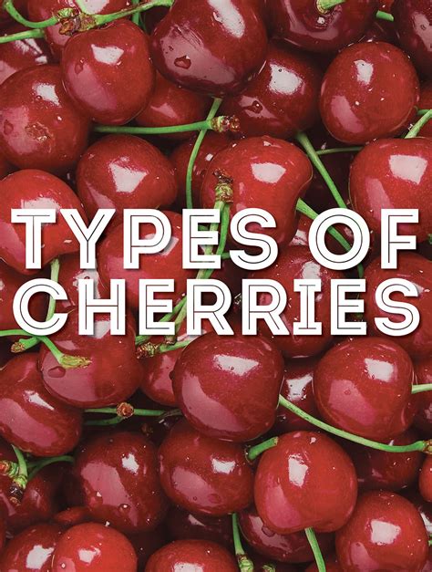 Cherry Varieties Descriptions