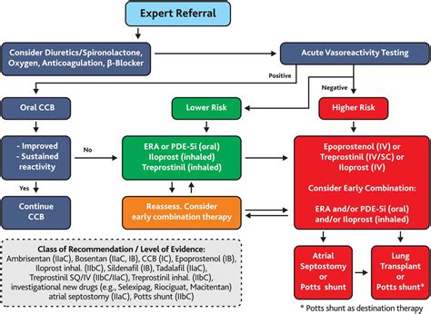 Pulmonary Hypertension Anesthesia At Shelly Cote Blog