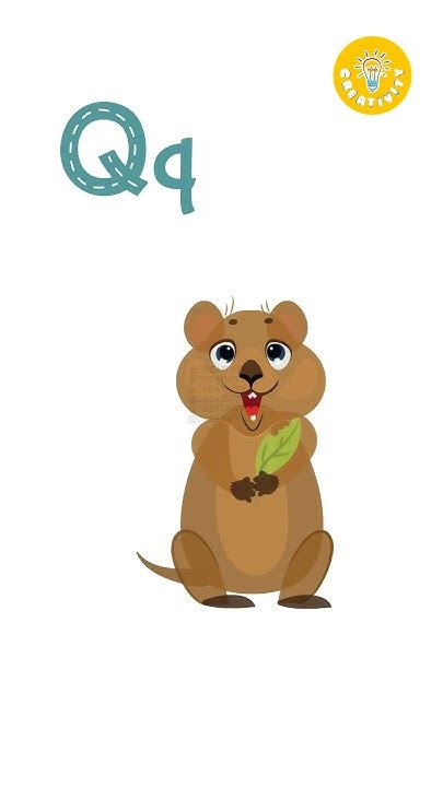 Alphabet Q Chữ Cái Tiếng Anh Chữ Q Youtube