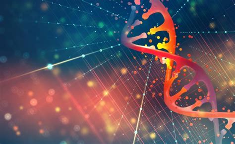 Advances In Stem Cell Technology And Its Impact On Medicine Well Being Tips