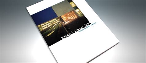 Cib Annual Report 2004