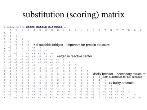 Ppt Basics Of Sequence Alignment And Weight Matrices And Dot Plot