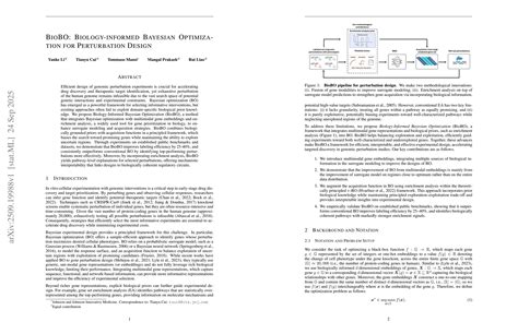 Biobo Biology Informed Bayesian Optimization For Perturbation Design