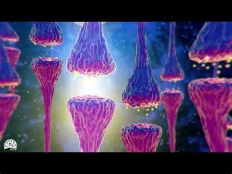 528hz Miracle Tone Dna Repair And Healing Nerve And Cell