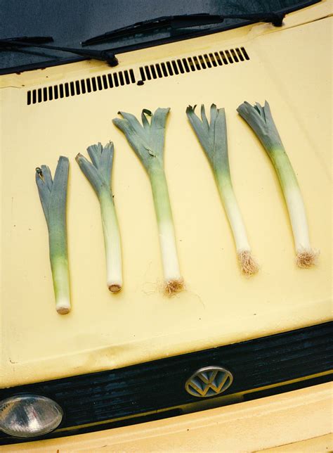 Valentin Semsedini — Musée Magazine