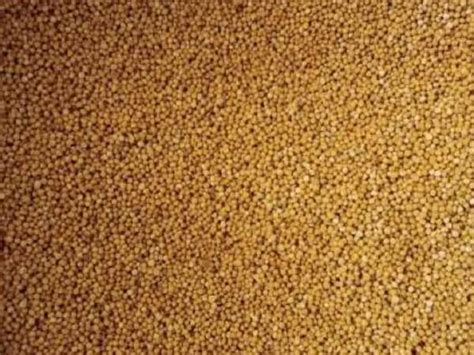 Garstycios Kaisiadoriu R Skelbimai Skelbiult