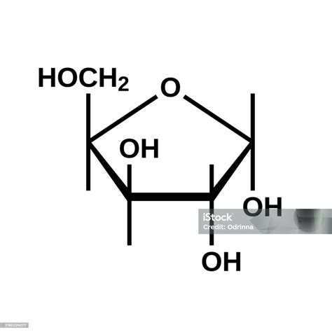 Alphaxylose Cyclic Structural Formula Furanose Form Of Xylose Vector