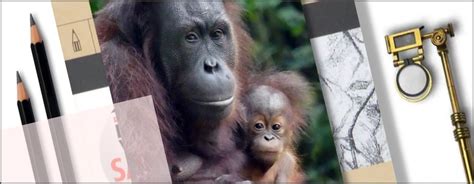 How To Trace A Drawing 12 Ways To Get Results Fast