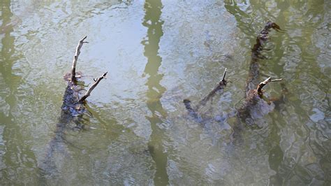 Unsagbar Fluss Anne Manzek