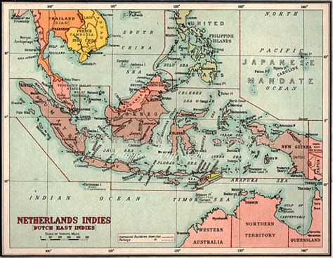 Dutch Coffee History And Culture
