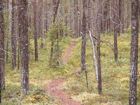 【excel Vba】動的配列について総まとめ(宣言、多次元、要素数、初期化) Excel Vba 研究所(入門) 【excel Vba】動的配列について総まとめ(宣言、多次元、要素数、初期化) Excel Vba 研究所(入門)