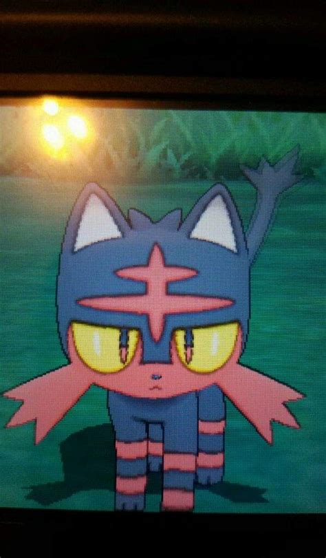 Litten Wiki Pokémon Amino