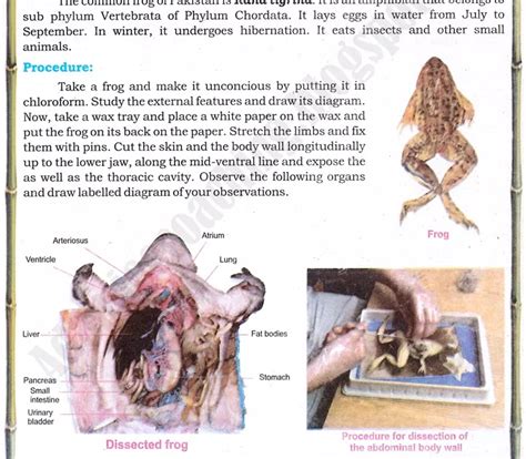 Adamjee Coaching Practical Activity 3 Frog Dissection Biology 9th