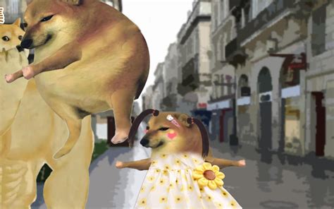 细狗的反义词是啥？ 狗头幸运星 狗头幸运星 哔哩哔哩视频