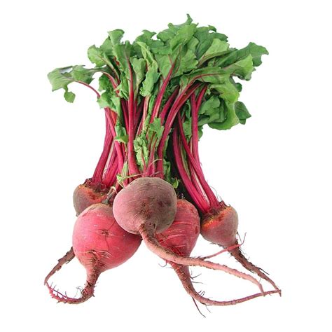 Shop Wholesale Bunch Beet Purveyd