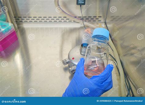 Kill The Pathogen Or Bacteria And Prevent The Contramination In The