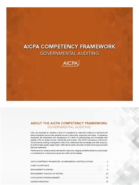 Aicpa Competency Framework Govt Accnt And Auditing Final Pdf