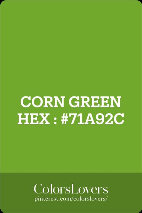 The Vibrant Corn Green Color