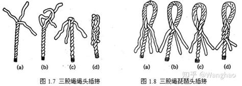 水手结？ 知乎