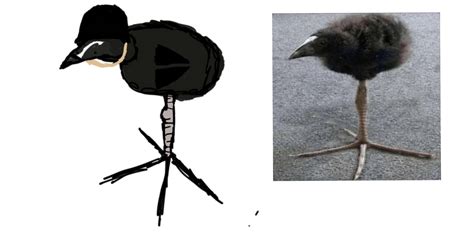 Crovus Fandom