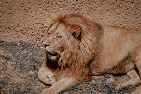 Ejemplos De Big Data Hoy Impulsa Tu Éxito Empresarial 2026