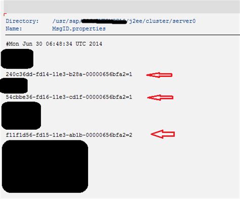 Generating Incremental Sequence Number In Pi Per M Sap Community