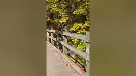 Tengo Ganas ️‍🔥 ️‍🔥de Bolver A Enamorarme 🥰🥰 ️‍🔥 ️‍🔥 Youtube