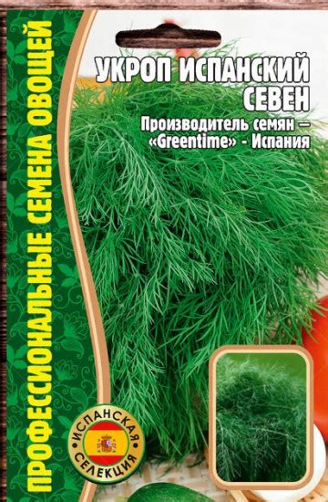Укроп «Испанский севен»