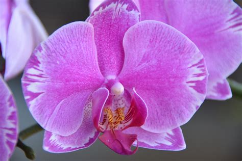 Were Having The Wrong Conversation About Dj Khaled And Sex Global Comment