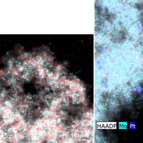 Mapping Results Corresponding To Pdmopph And Ptmopph Download