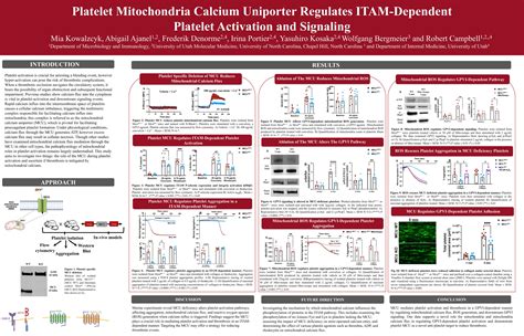 Procoagulant Platelet Formation And Function Mitochondrial Calcium