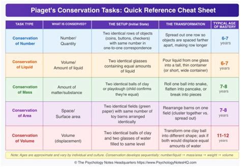 Piagets Conservation Tasks 5 Classic Examples Explained