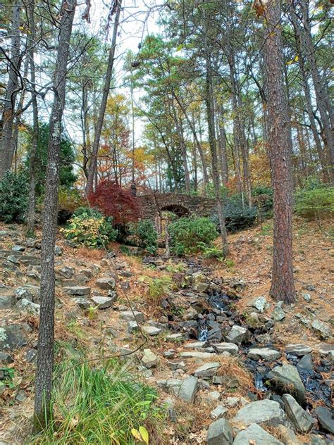 Garvan Woodland Garden Editorial Photo Image Of Garden 240652401